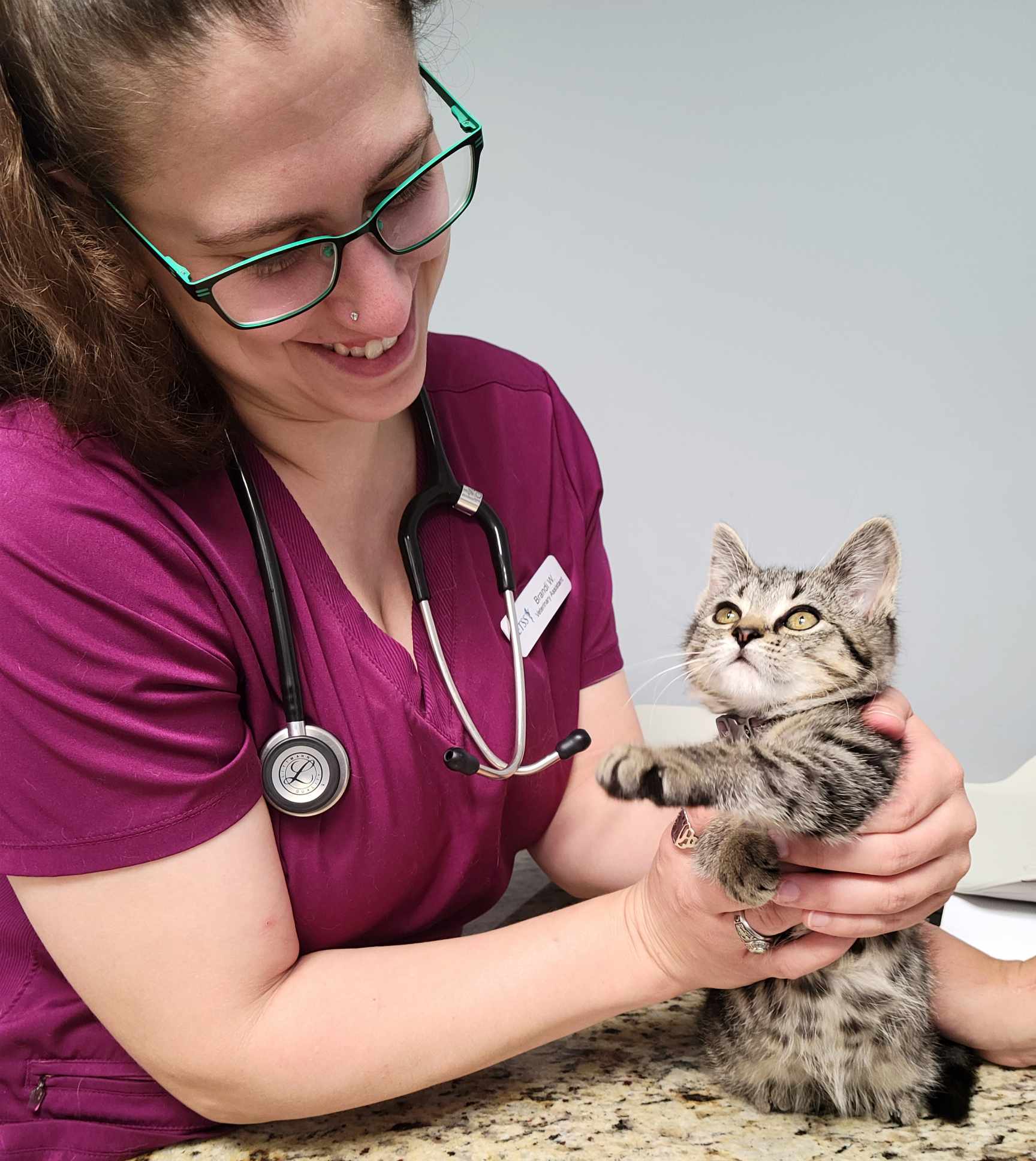 Contact Us | Wheaton Animal Hospital