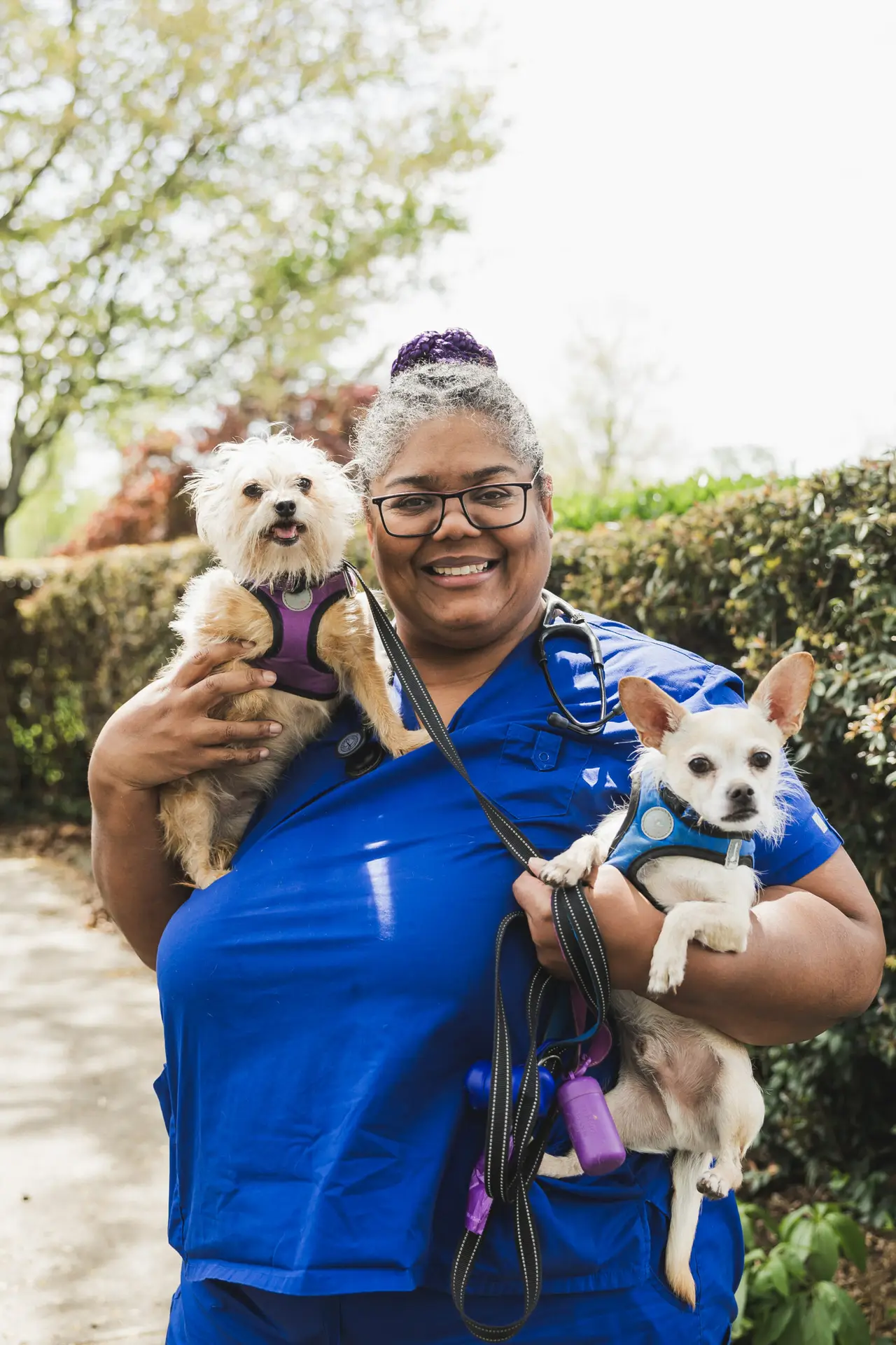 Dr. Robyn Johnson - Wheaton Animal Hospital